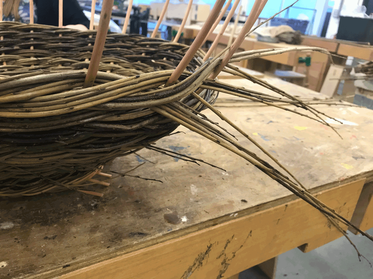 Willow Weaving for Beginners – Week 3 – marlenejordaan.com