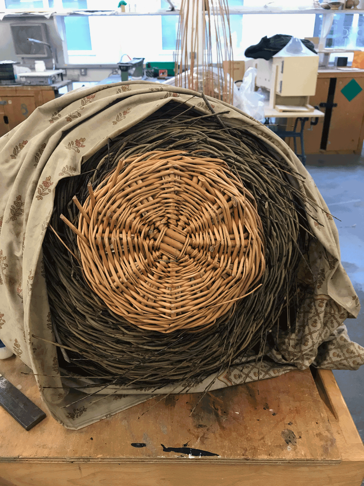 Willow Weaving for Beginners – Week 4 – marlenejordaan.com